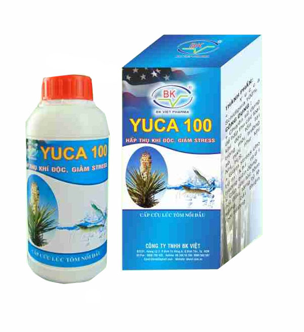 YUCA 100 - BKVIET
